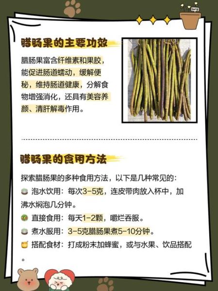 腊肠果的功效与副作用_腊肠果能减肥吗-第3张图片-山城妙识