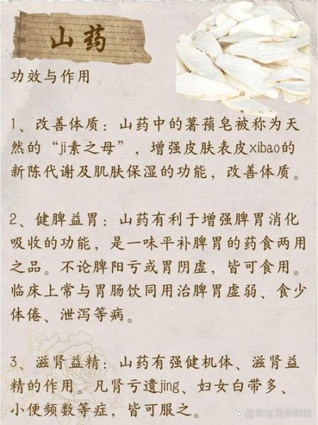 山药可以天天吃吗_天天吃山药的副作用-第1张图片-山城妙识 山药可以天天吃吗_天天吃山药的副作用-第1张图片-山城妙识