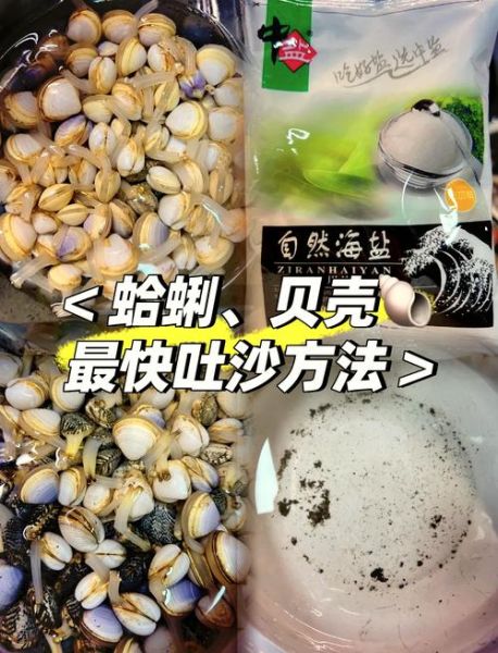 蛤蜊怎么吐沙_蛤蜊去泥沙最快方法-第1张图片-山城妙识
