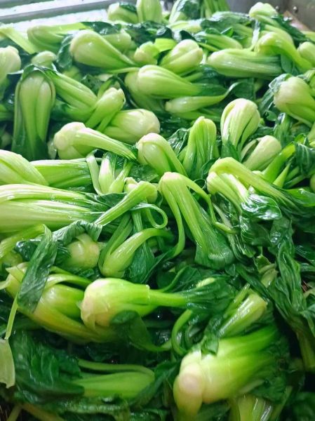 香菇青菜包子馅怎么做_香菇青菜包子馅不黄窍门-第3张图片-山城妙识 香菇青菜包子馅怎么做_香菇青菜包子馅不黄窍门-第3张图片-山城妙识