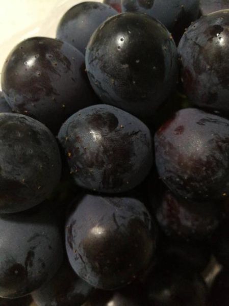 茭白里面有黑色的小点能吃吗_茭白黑点去除方法-第2张图片-山城妙识 茭白里面有黑色的小点能吃吗_茭白黑点去除方法-第2张图片-山城妙识