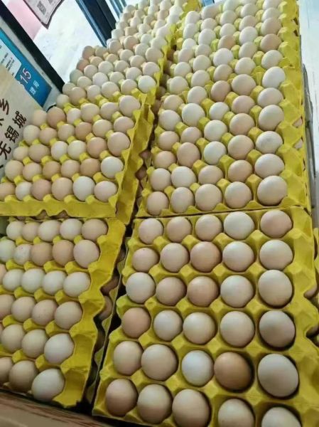 草鸡蛋多少钱一个_草鸡蛋价格为什么贵-第1张图片-山城妙识