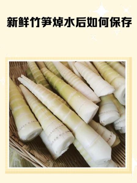 鲜竹笋焯水用盐水还是清水_区别与做法-第3张图片-山城妙识