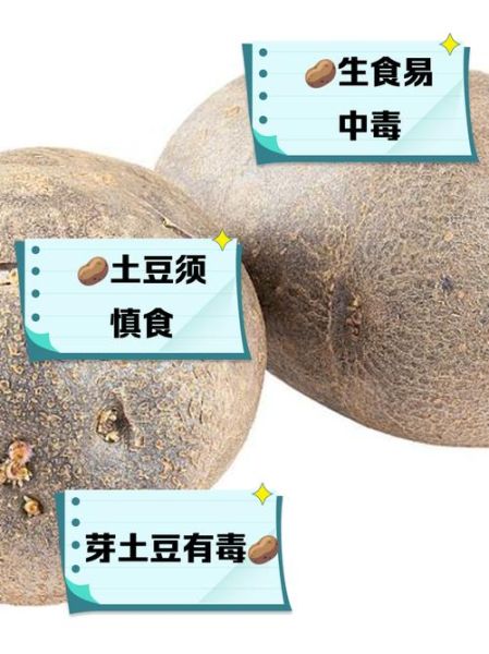 长期吃土豆的危害_土豆吃多了有什么坏处-第3张图片-山城妙识 长期吃土豆的危害_土豆吃多了有什么坏处-第3张图片-山城妙识