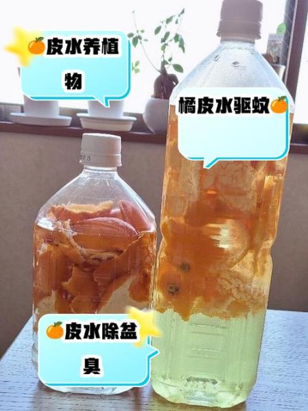 橘子皮泡水浇花有什么好处_橘子皮泡水浇花有什么坏处-第2张图片-山城妙识 橘子皮泡水浇花有什么好处_橘子皮泡水浇花有什么坏处-第2张图片-山城妙识