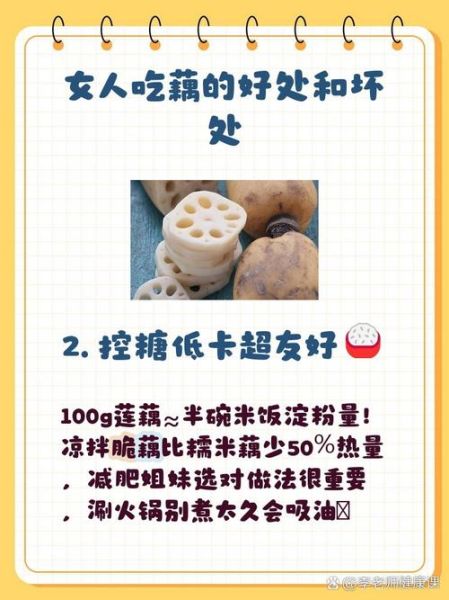 藕的功效与作用及禁忌_吃藕的注意事项-第2张图片-山城妙识