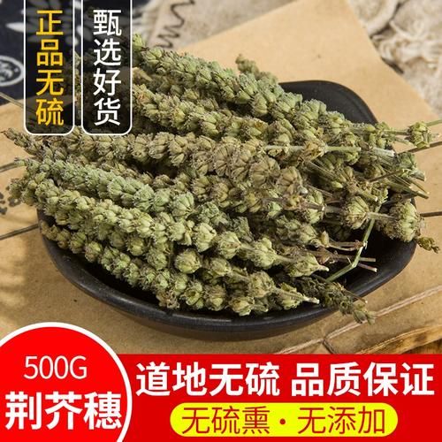 荆芥穗图片长什么样_荆芥穗与荆芥区别-第1张图片-山城妙识