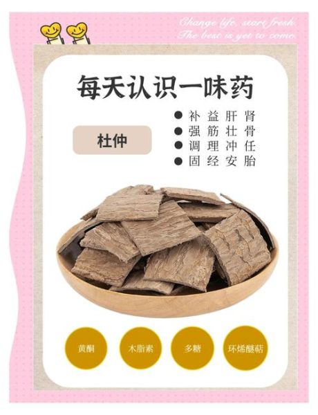 盐杜仲的功效与作用_盐杜仲的禁忌有哪些-第3张图片-山城妙识