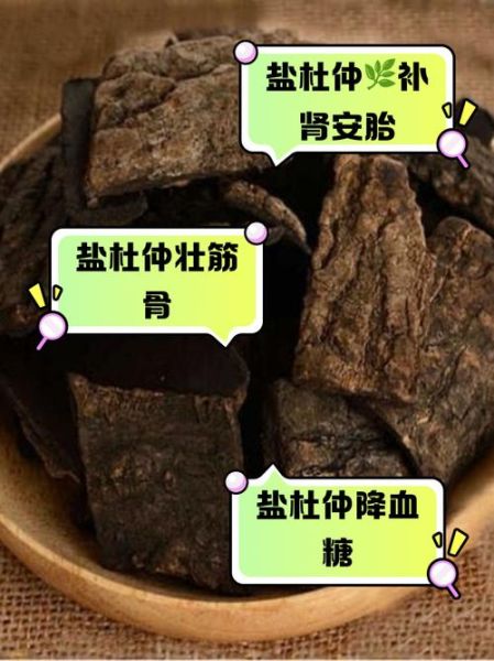 盐杜仲的功效与作用_盐杜仲的禁忌有哪些-第1张图片-山城妙识