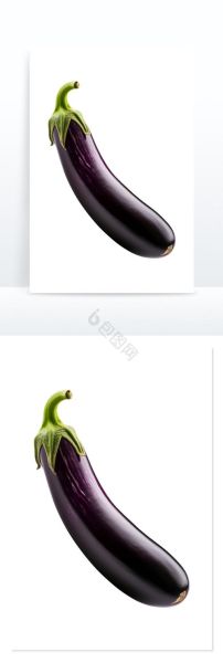 茄瓜的功效与作用_茄瓜的禁忌有哪些-第3张图片-山城妙识