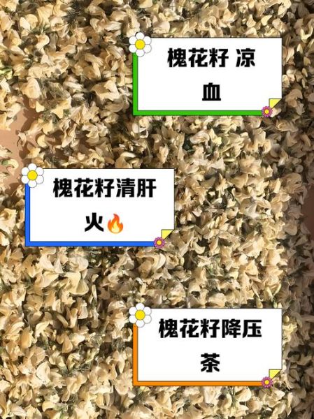 干槐花泡水喝的功效_干槐花泡水喝的禁忌-第2张图片-山城妙识