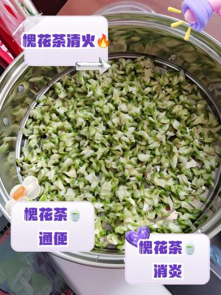 干槐花泡水喝的功效_干槐花泡水喝的禁忌-第3张图片-山城妙识