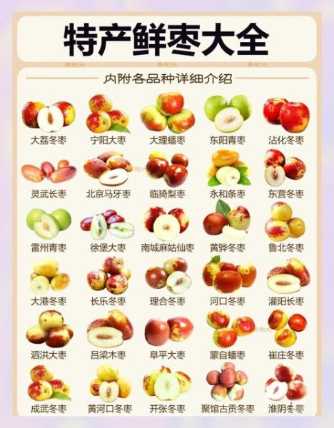 新鲜枣子的营养价值_新鲜枣子有哪些功效-第2张图片-山城妙识 新鲜枣子的营养价值_新鲜枣子有哪些功效-第2张图片-山城妙识