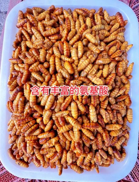 蚕蛹价格多少钱一斤_蚕蛹多少钱一斤最新行情-第2张图片-山城妙识