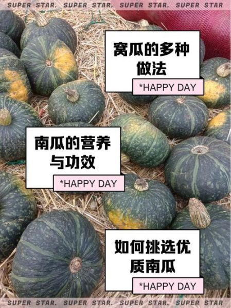 窝瓜怎么做好吃_窝瓜的做法大全-第3张图片-山城妙识