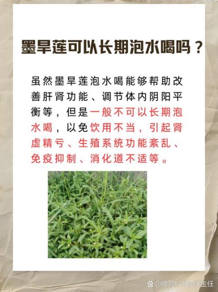旱莲草别名有哪些_旱莲草与墨旱莲区别-第2张图片-山城妙识