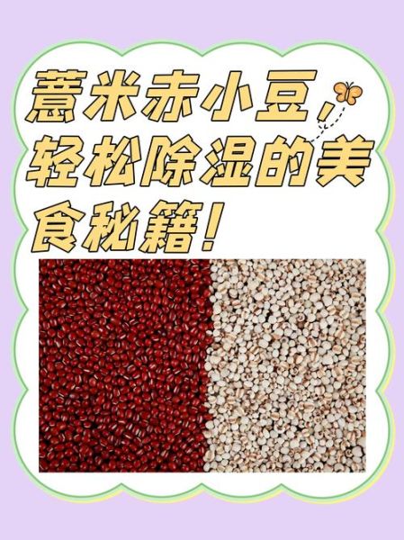 赤小豆薏米丸能减肥吗_赤小豆薏米丸怎么吃效果最好-第1张图片-山城妙识 赤小豆薏米丸能减肥吗_赤小豆薏米丸怎么吃效果最好-第1张图片-山城妙识