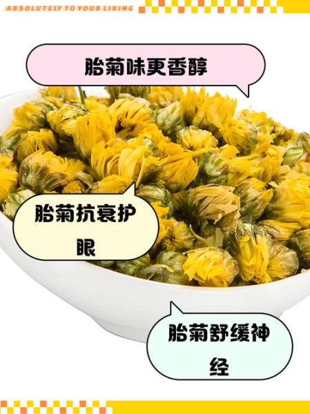杭白菊和胎菊哪个降火好_菊花茶种类功效区别-第2张图片-山城妙识