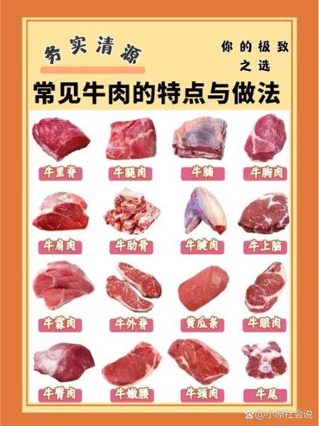 牛肉汉堡用哪个部位_牛肩肉还是牛胸肉-第2张图片-山城妙识