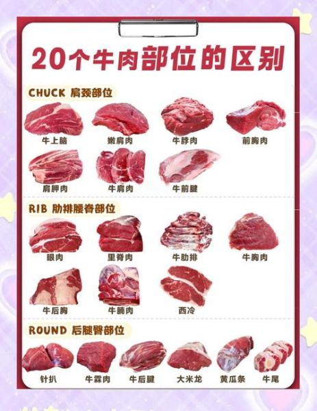 牛肉汉堡用哪个部位_牛肩肉还是牛胸肉-第3张图片-山城妙识