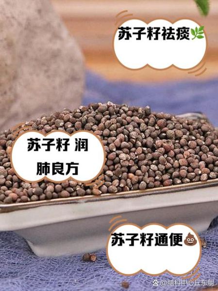 苏子籽的功效与作用_苏子籽的禁忌有哪些-第2张图片-山城妙识 苏子籽的功效与作用_苏子籽的禁忌有哪些-第2张图片-山城妙识