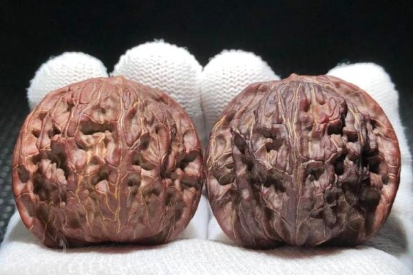 闷尖狮子头多少钱一对_如何挑选正宗闷尖狮子头-第2张图片-山城妙识