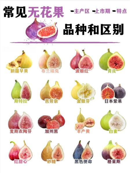 无花果图片大全大图_无花果怎么挑选-第2张图片-山城妙识 无花果图片大全大图_无花果怎么挑选-第2张图片-山城妙识
