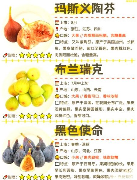 无花果图片大全大图_无花果怎么挑选-第1张图片-山城妙识 无花果图片大全大图_无花果怎么挑选-第1张图片-山城妙识