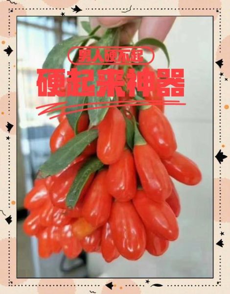 长期吃枸杞能壮阳吗_枸杞壮阳效果真相-第3张图片-山城妙识 长期吃枸杞能壮阳吗_枸杞壮阳效果真相-第3张图片-山城妙识