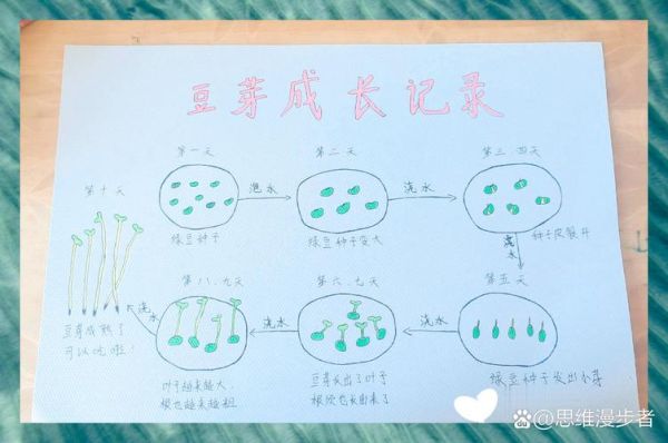 绿豆芽怎么发_绿豆芽制作步骤-第1张图片-山城妙识