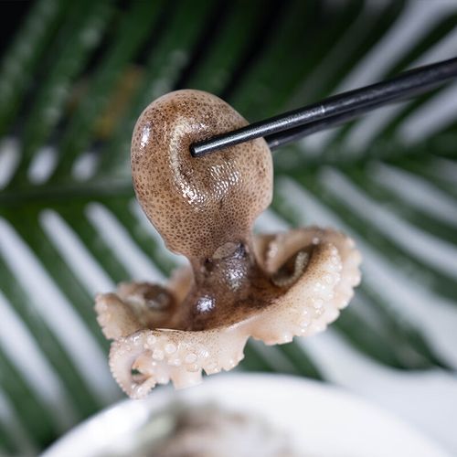 八爪鱼怎么清理内脏_八爪鱼内脏清理视频教程-第2张图片-山城妙识 八爪鱼怎么清理内脏_八爪鱼内脏清理视频教程-第2张图片-山城妙识