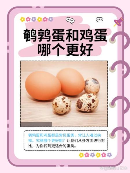 鹌鹑蛋怎么读_鹌鹑蛋的营养价值-第1张图片-山城妙识 鹌鹑蛋怎么读_鹌鹑蛋的营养价值-第1张图片-山城妙识