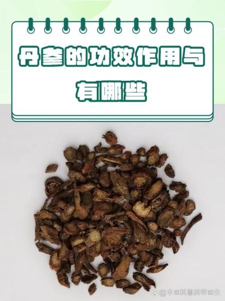 丹参的功效与副作用_哪些人不能吃-第3张图片-山城妙识 丹参的功效与副作用_哪些人不能吃-第3张图片-山城妙识