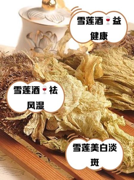 雪莲花有什么功效与作用_雪莲花禁忌人群有哪些-第1张图片-山城妙识 雪莲花有什么功效与作用_雪莲花禁忌人群有哪些-第1张图片-山城妙识