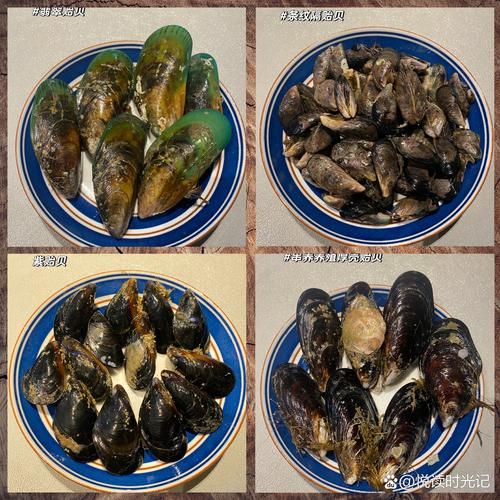 淡菜怎么清洗图解_淡菜和青口贝的区别-第2张图片-山城妙识 淡菜怎么清洗图解_淡菜和青口贝的区别-第2张图片-山城妙识