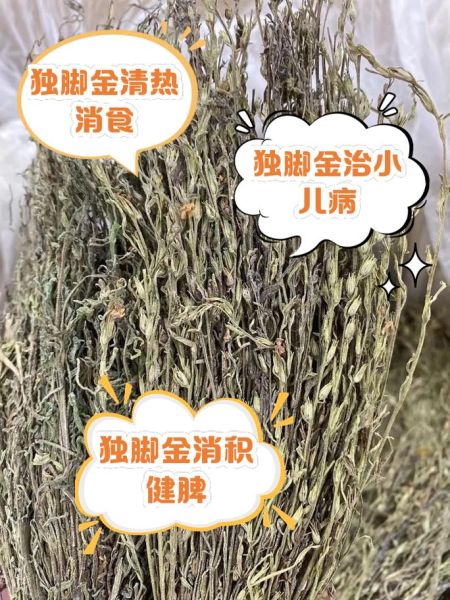 独脚金的功效与作用_独脚金怎么煮水喝-第3张图片-山城妙识 独脚金的功效与作用_独脚金怎么煮水喝-第3张图片-山城妙识