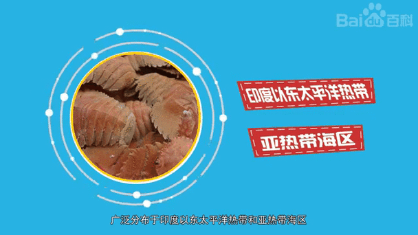 虾姑排是什么_虾姑排和皮皮虾区别-第2张图片-山城妙识 虾姑排是什么_虾姑排和皮皮虾区别-第2张图片-山城妙识