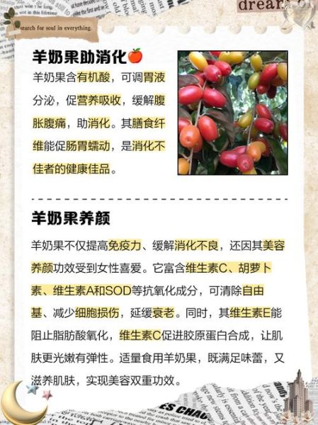 羊奶果什么人不能吃_羊奶果禁忌有哪些-第2张图片-山城妙识 羊奶果什么人不能吃_羊奶果禁忌有哪些-第2张图片-山城妙识