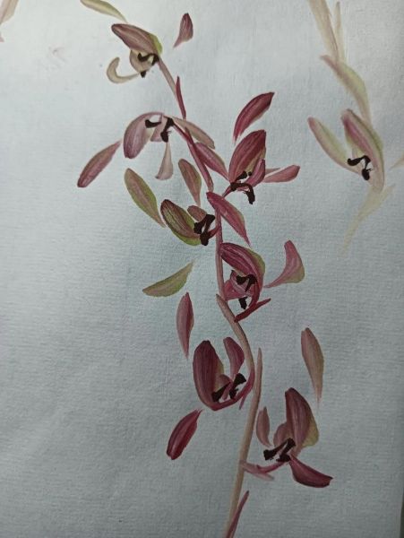 兰花国画怎么画_兰花国画图片欣赏-第2张图片-山城妙识 兰花国画怎么画_兰花国画图片欣赏-第2张图片-山城妙识