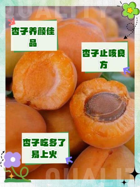 杏子吃多了有什么坏处_杏子一天吃几个合适-第1张图片-山城妙识