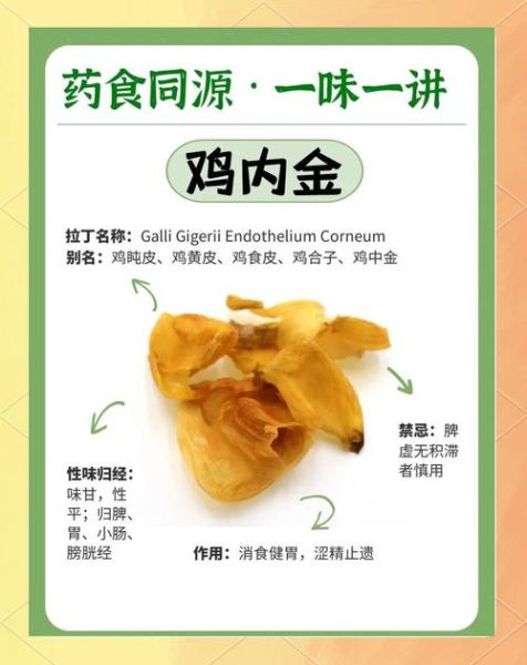 鸡内金能治疗肾结石吗_鸡内金对肾结石的作用机制-第1张图片-山城妙识 鸡内金能治疗肾结石吗_鸡内金对肾结石的作用机制-第1张图片-山城妙识