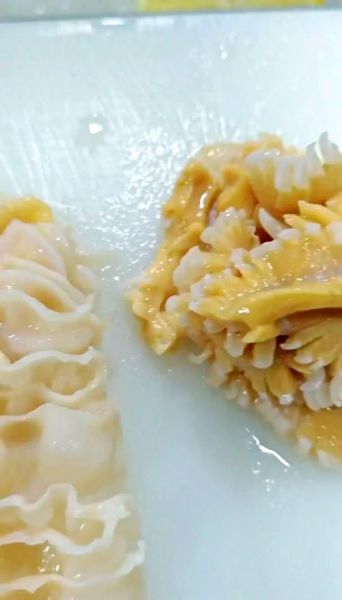 象拔蚌刺身怎么做_象拔蚌刺身处理技巧-第1张图片-山城妙识