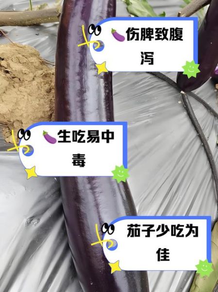 女人经常吃茄子的危害_茄子吃多了有什么坏处-第2张图片-山城妙识