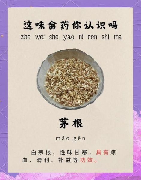 茅草根图片长什么样_茅草根的功效与作用-第2张图片-山城妙识 茅草根图片长什么样_茅草根的功效与作用-第2张图片-山城妙识