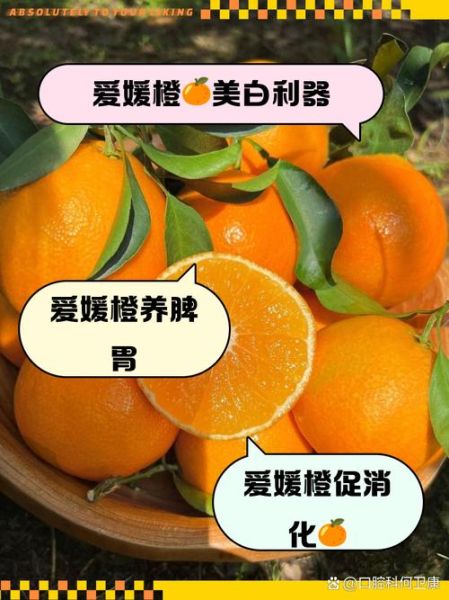 女人每天吃一个橙子好吗_女人吃橙子皮肤会变白吗-第2张图片-山城妙识 女人每天吃一个橙子好吗_女人吃橙子皮肤会变白吗-第2张图片-山城妙识