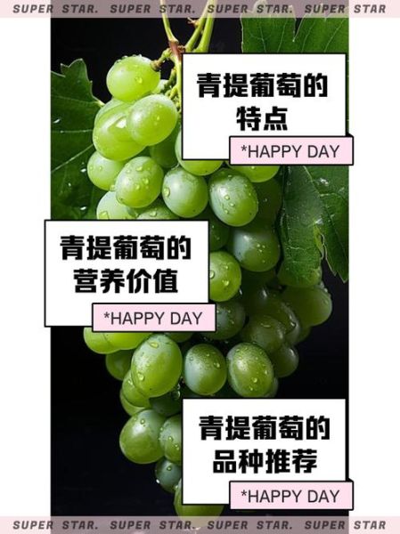 绿葡萄的功效与作用_绿葡萄可以天天吃吗-第1张图片-山城妙识 绿葡萄的功效与作用_绿葡萄可以天天吃吗-第1张图片-山城妙识