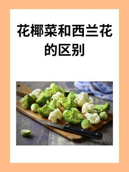 花椰菜和西兰花的区别_哪个营养价值更高-第1张图片-山城妙识 花椰菜和西兰花的区别_哪个营养价值更高-第1张图片-山城妙识