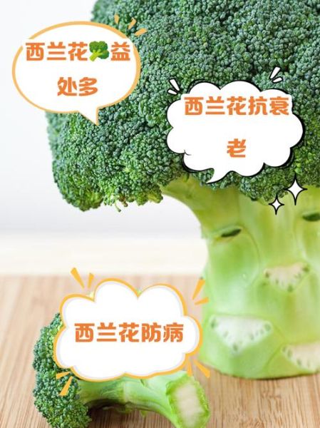 花椰菜和西兰花的区别_哪个营养价值更高-第3张图片-山城妙识 花椰菜和西兰花的区别_哪个营养价值更高-第3张图片-山城妙识