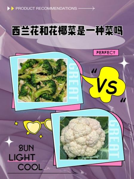 花椰菜和西兰花的区别_哪个营养价值更高-第2张图片-山城妙识 花椰菜和西兰花的区别_哪个营养价值更高-第2张图片-山城妙识