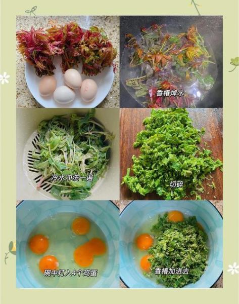 香椿煎鸡蛋怎么做_香椿煎鸡蛋的做法窍门-第3张图片-山城妙识